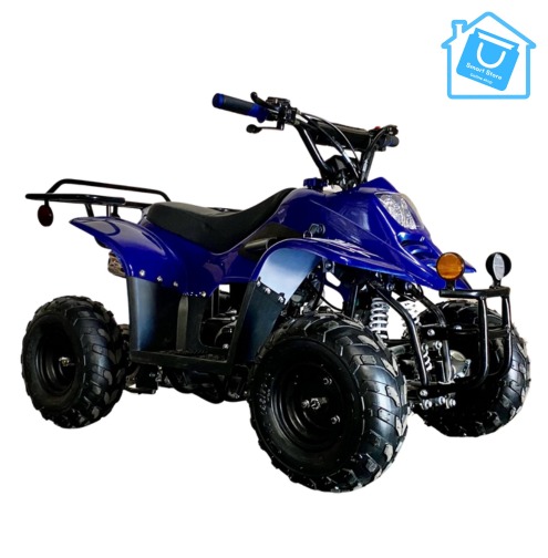 MINI QUAD 110CC ATV-3050C – Club Smart Store